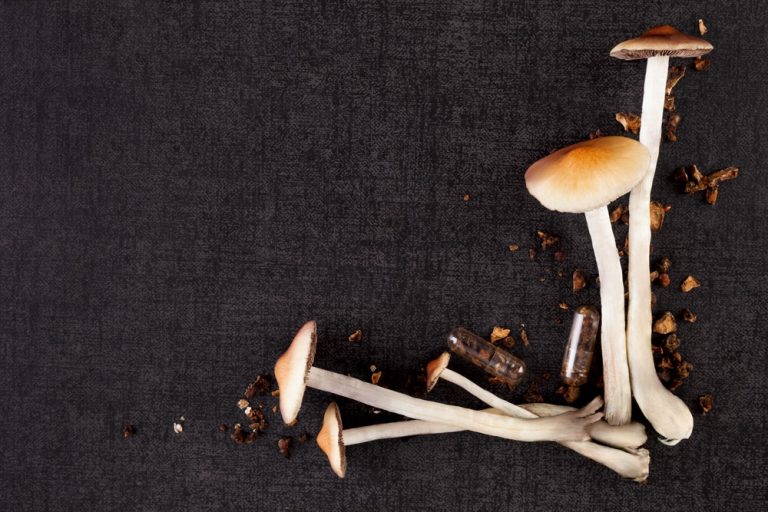 Are Shrooms Addictive? | Faith Recovery Center